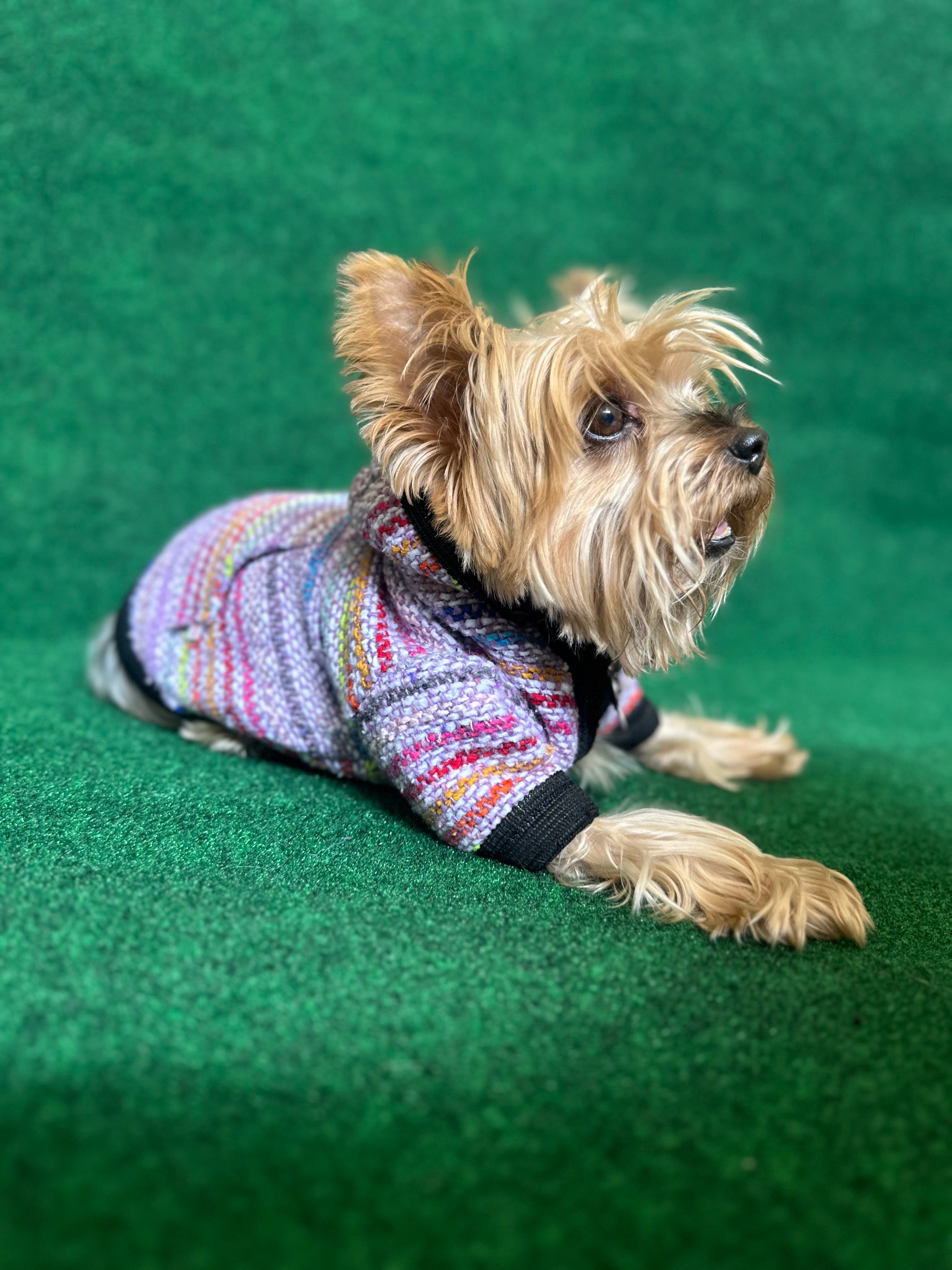 Baja Dog Poncho – Perro Chic